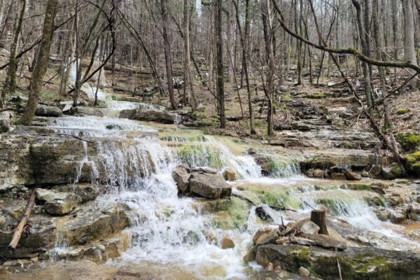 Waterfall Yoga's Origin Story - Waterfall Yoga LLC